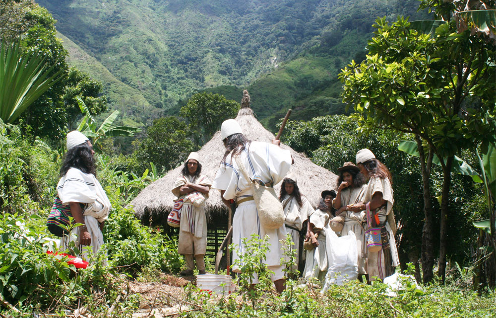 Ocho firmas se unen a la comunidad Arhuaca por la Sierra Nevada
