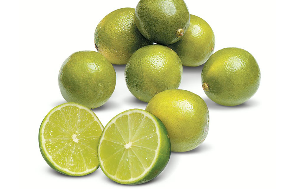 Producción de lima ácida tahití llega a Estados Unidos y Canadá