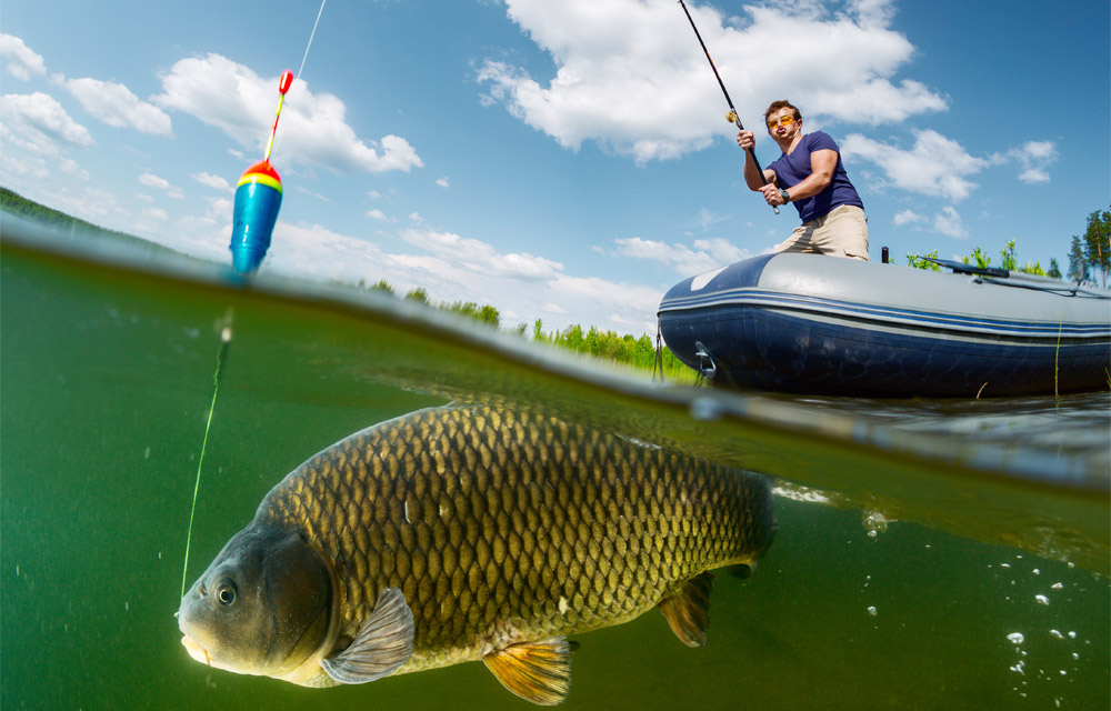 Cinco lugares para disfrutar de la pesca