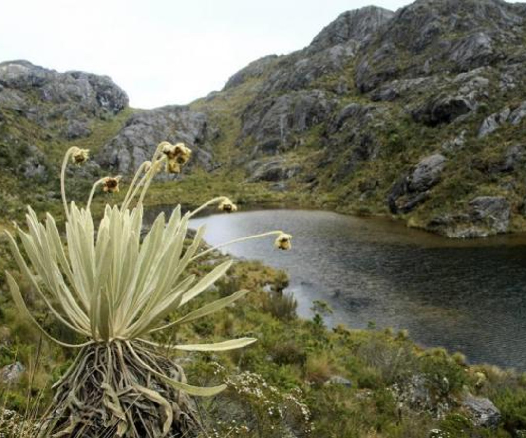 Páramo: Últimas noticias económicas de Páramo