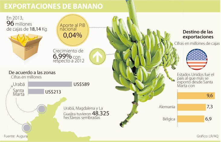 Las hectáreas de banano en Colombia aumentaron 23% en el último año