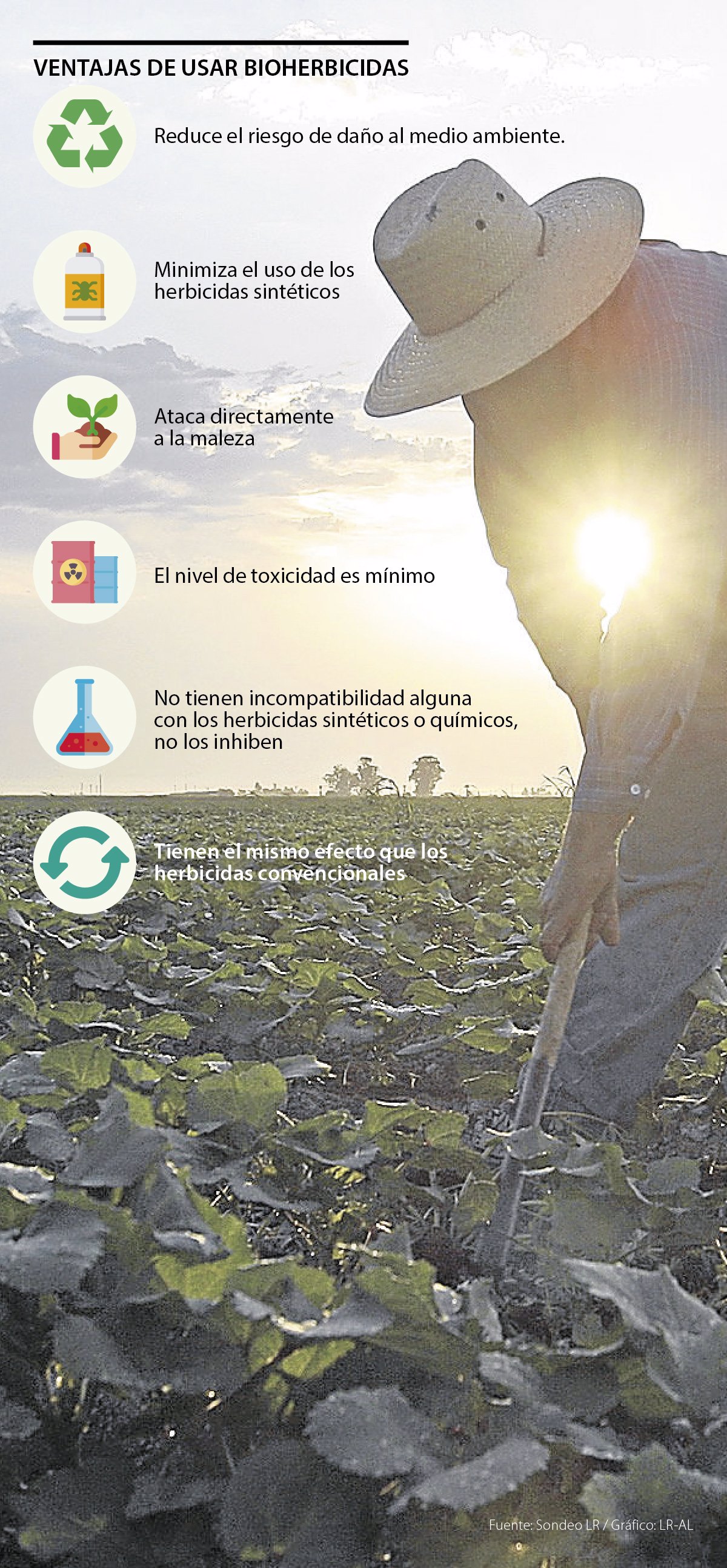 Conozca los beneficios de bioherbicidas en la aspersión de cultivos