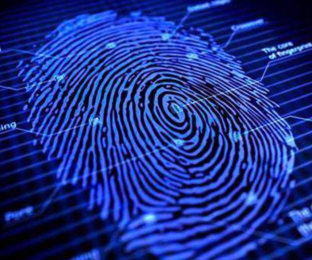 La identificación biométrica es la nueva tendencia en procesos de seguridad