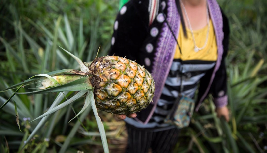 Gobierno argentino anunció que las puertas del mercado están abiertas ...