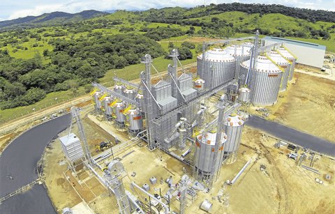 INDUSTRIA ARROCERA - Mind Map