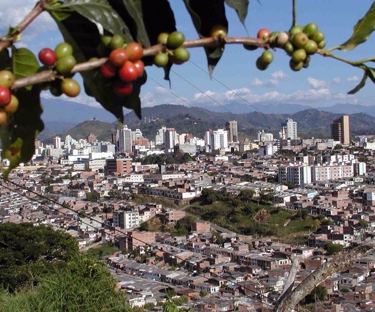 Pereira le apuesta a mejorar competitividad y atrae a inversionistas ...